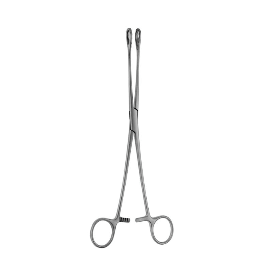 FOERSTER Sponge Holding Forcep With Ratchet Straight 25.0 cm – Adwat ...