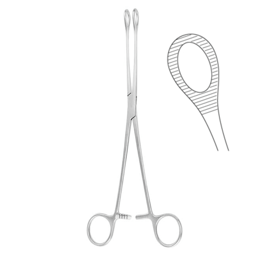 FOERSTER Sponge Holding Forcep With Ratchet Curved 20.0 cm – Adwat ...