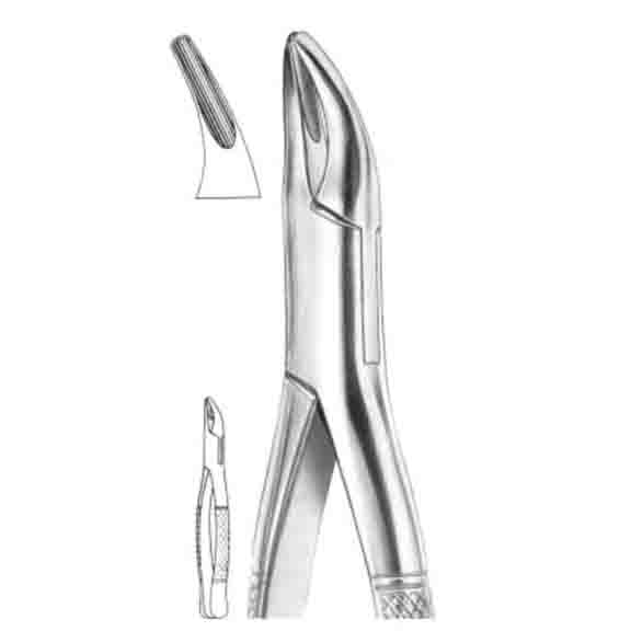 FIG.4 UPPER AND LOWER PREMOLAR – Adwat Alshifaa Medical UAE