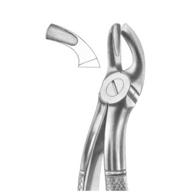 FIG. 19 UPPER THIY MOLARS – Adwat Alshifaa Medical UAE