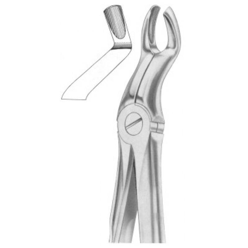 FIG. 67A UPPER THIY MOLARS – Adwat Alshifaa Medical UAE