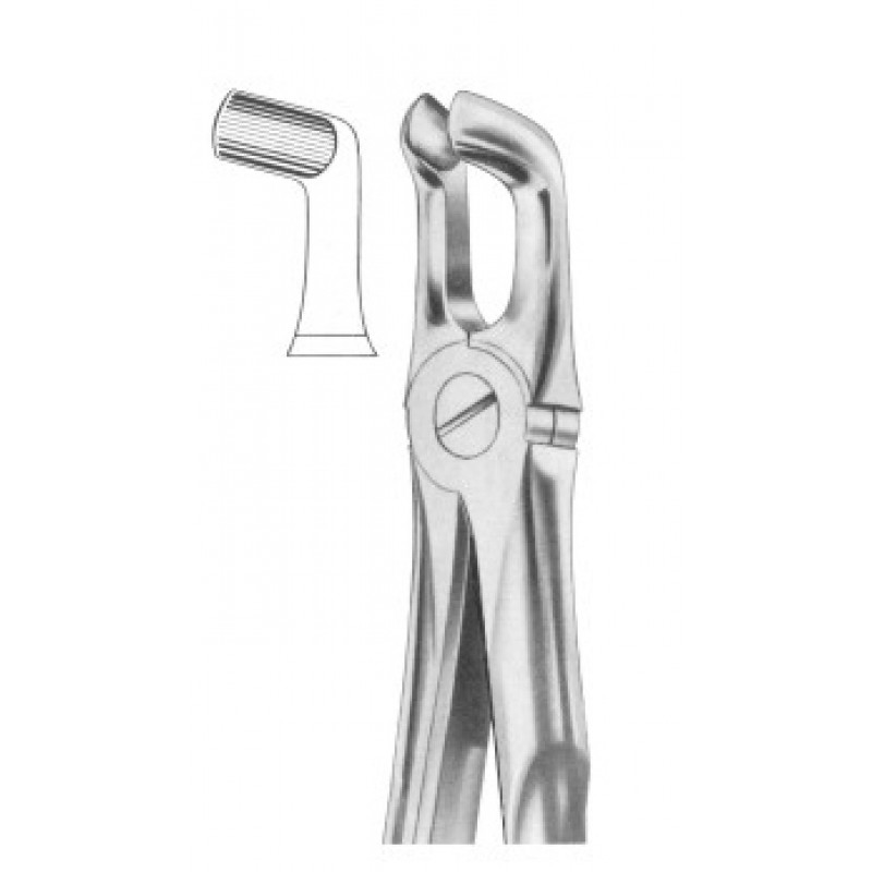 FIG. 76A LOWER THIY MOLARS – Adwat Alshifaa Medical UAE