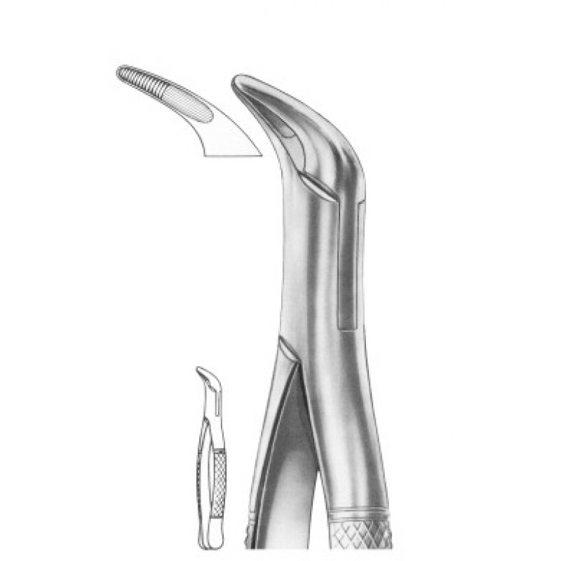 FIG. 36 LOWER ANTERIOR AND ROOTS – Adwat Alshifaa Medical UAE