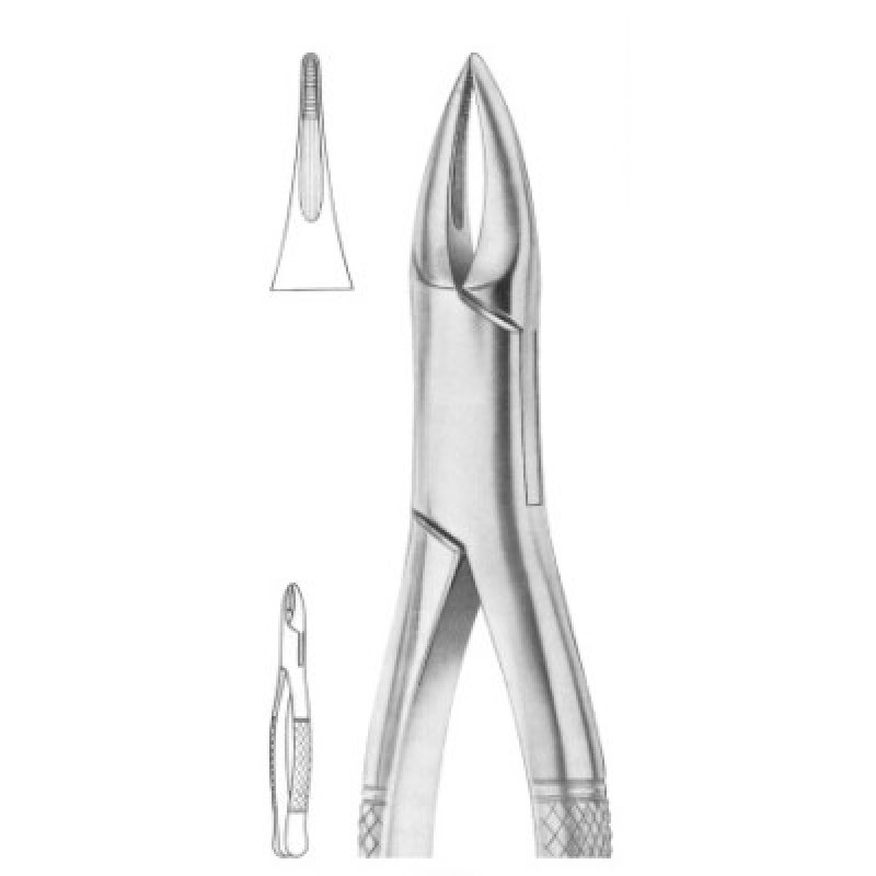 FIG. 38 LOWER ANTERIOR AND ROOTS – Adwat Alshifaa Medical UAE
