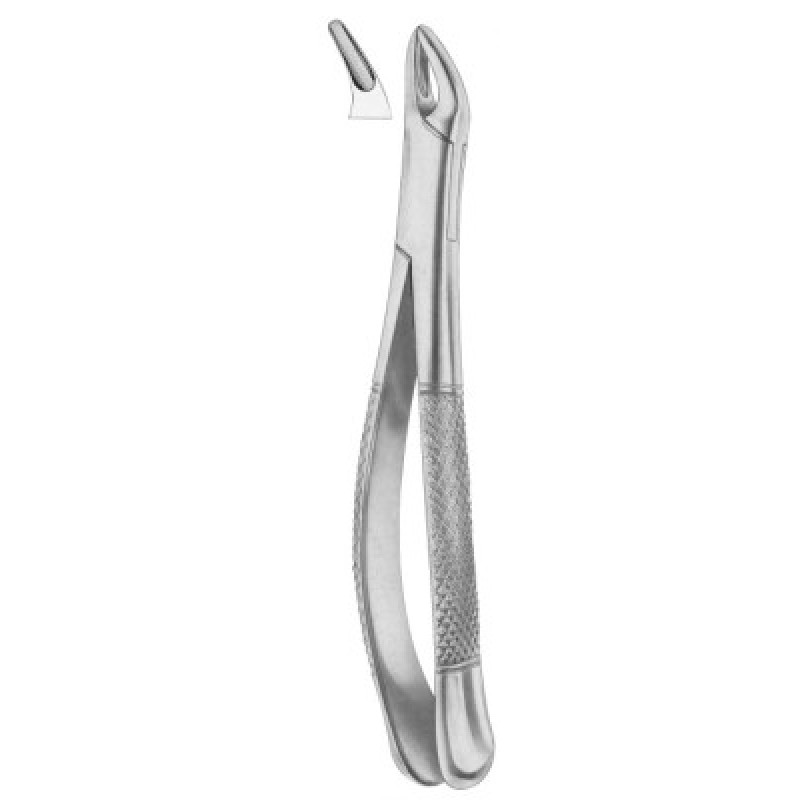 CRYER FIG. 150 LOWER INCISORS, PREMOLARS,ROOTS – Adwat Alshifaa Medical UAE