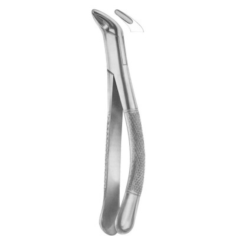 CRYER FIG. 151 LOWER INCISORS, PREMOLARS,ROOTS – Adwat Alshifaa Medical UAE