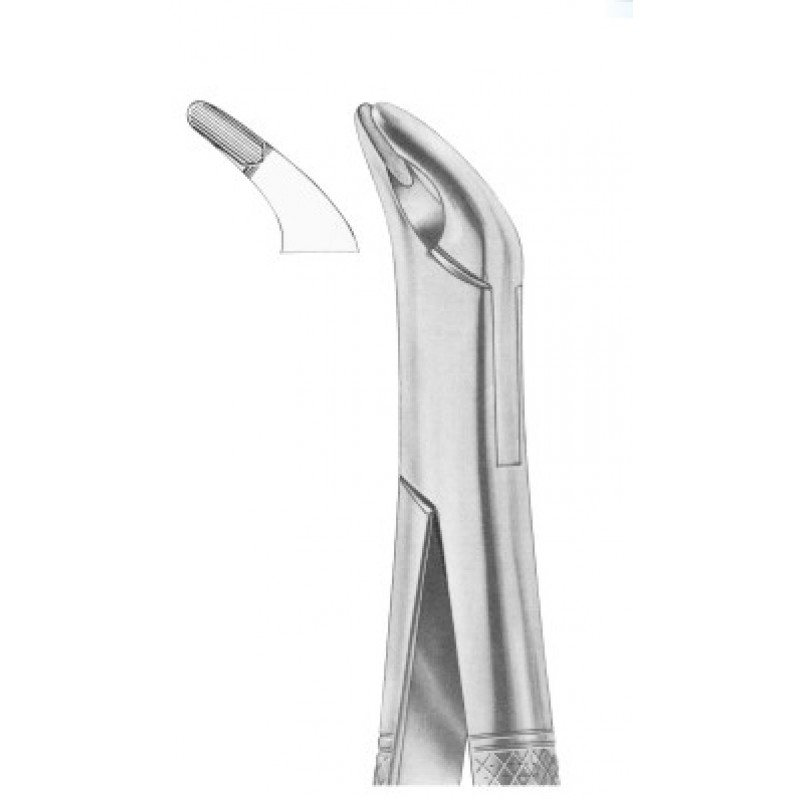 CRYER FIG. 151A LOWER INCISORS, PREMOLARS,ROOTS – Adwat Alshifaa ...