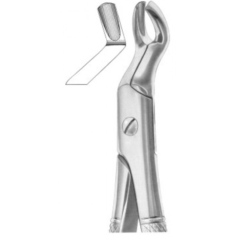 FIG. 67 UPPER THIY MOLARS – Adwat Alshifaa Medical UAE